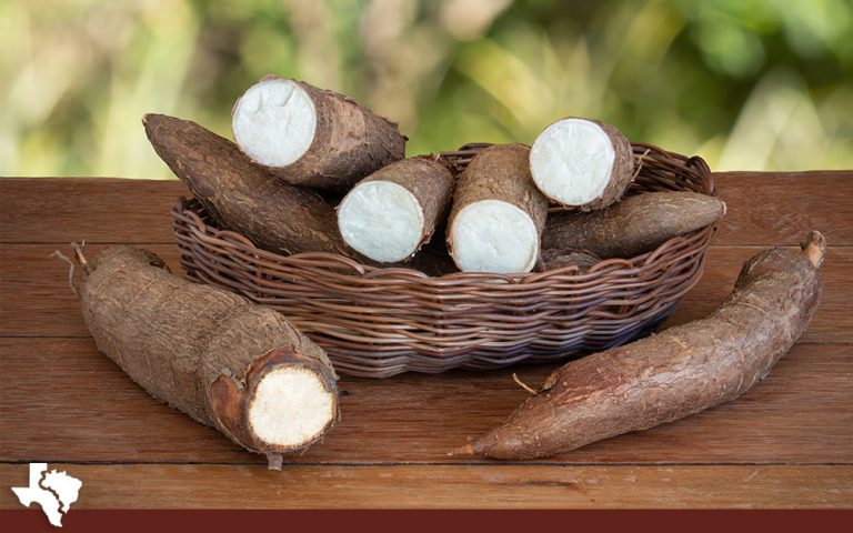 Brazil Food Facts: 15 Things You Didn't Know About Brazil